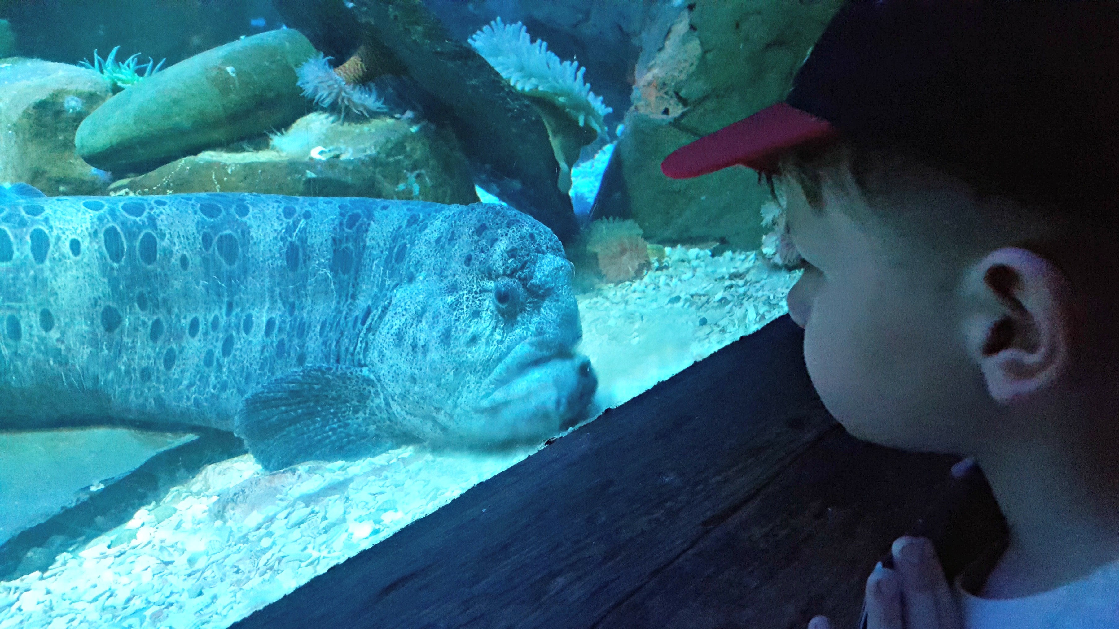 Mister Maker at SEA LIFE Blackpool